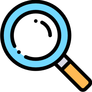 Reticulated Python Care Guide: Everything You Need to Know Before ...